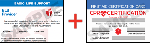 First Aid & CPR Classes San Diego | CPR Certification San Diego First Aid & CPR Classes San Diego | CPR Certification San Diego